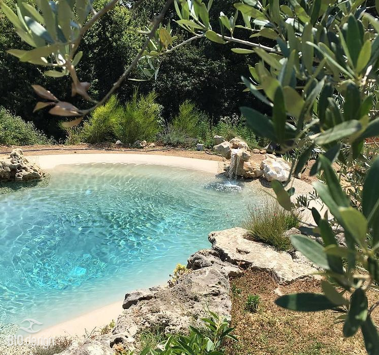 Biodesign-Pool - Poolbau in Wädenswil - brinergarten